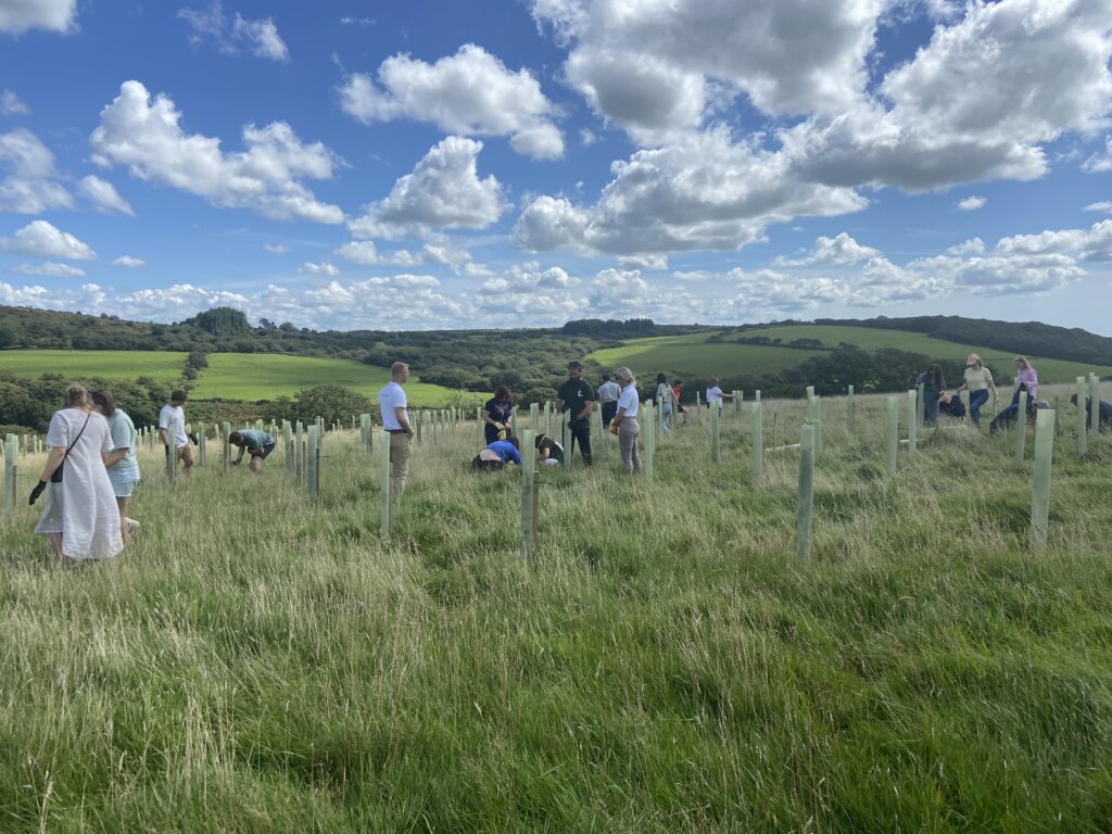 Supporting Plant 1 - The Cabilla Experience! - DowlingDodd Chartered ...